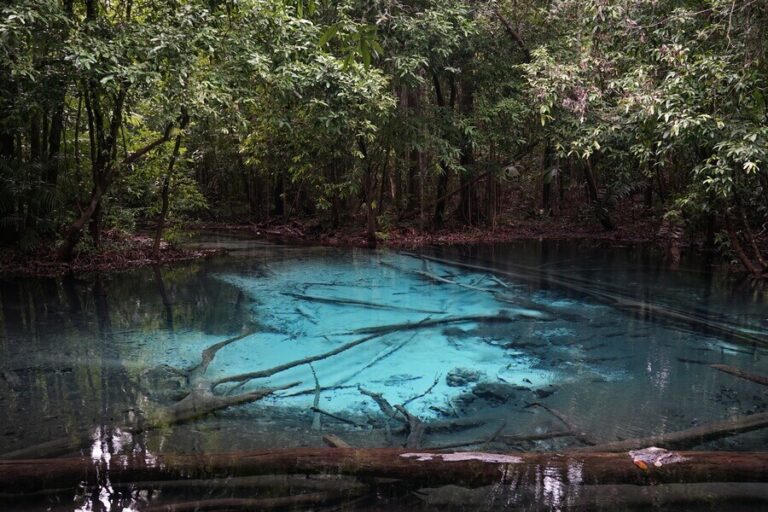 Guide To Visiting Emerald Pool in Krabi + Blue Pool & Crystal Pool ...