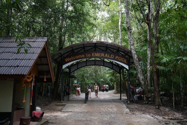 Guide To Visiting Emerald Pool in Krabi + Blue Pool & Crystal Pool ...